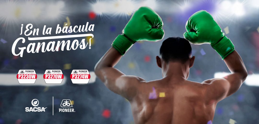 Inicio - Grupo SACSA