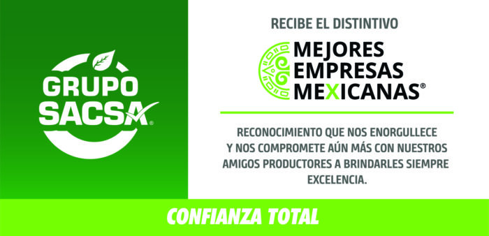 pruebas pagina principal - Grupo SACSA
