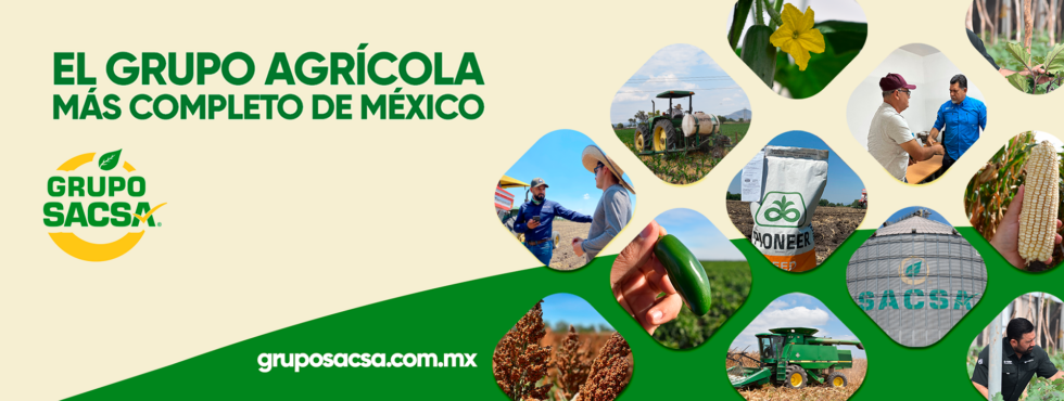 pruebas pagina principal | Grupo SACSA